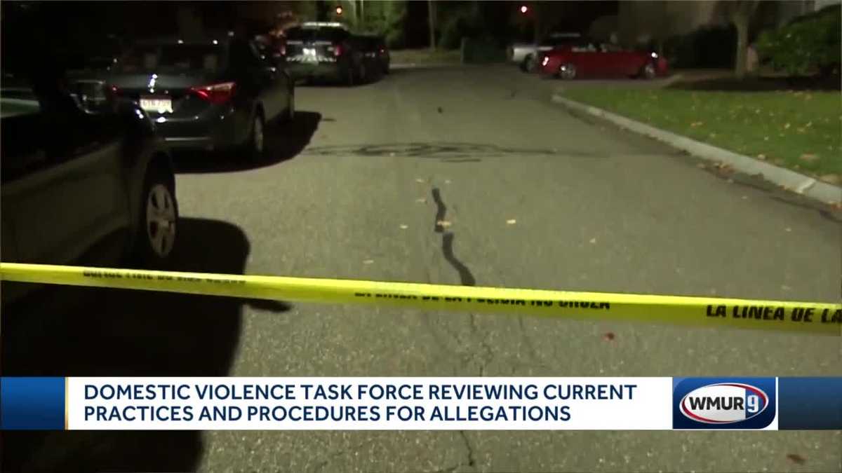 Domestic violence task force reviews current practices