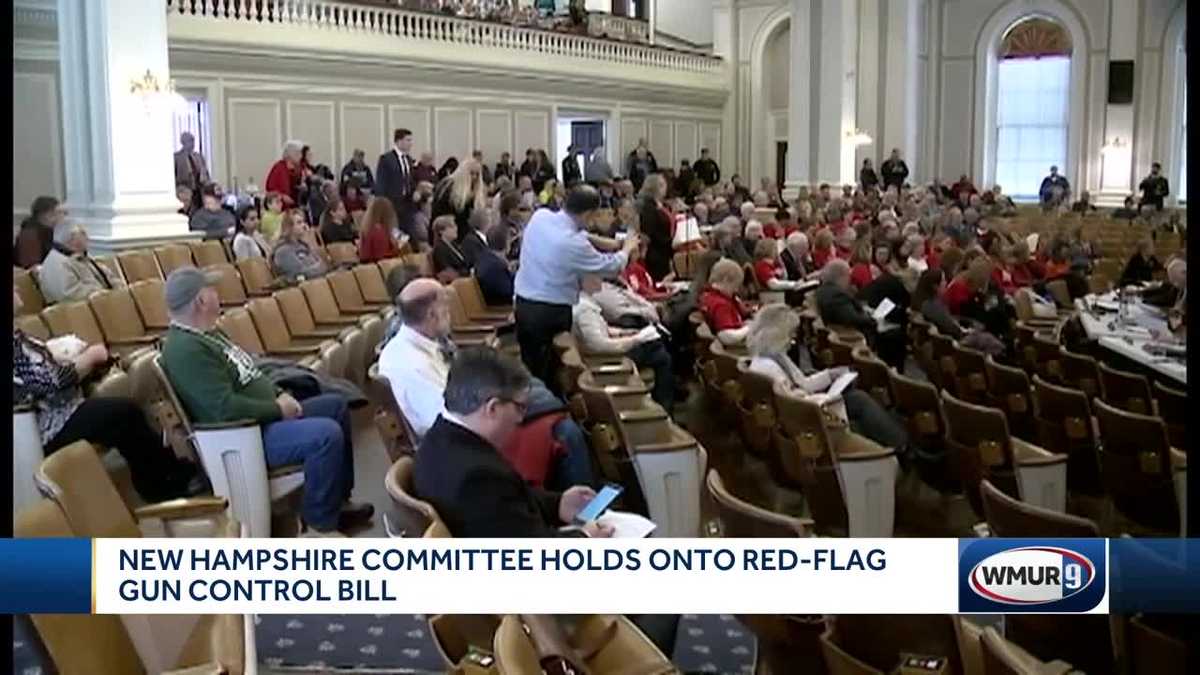 House committee retains red-flag gun control bill