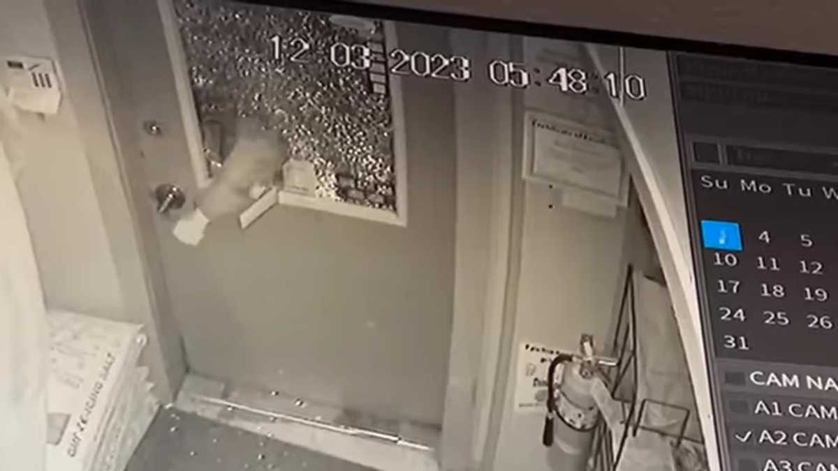 Police Seek Public Assistance Locating Stolen Dump Truck