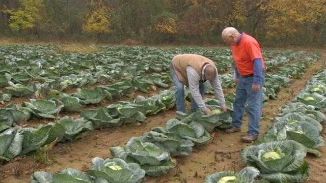Catholic Church works with farm to help needy