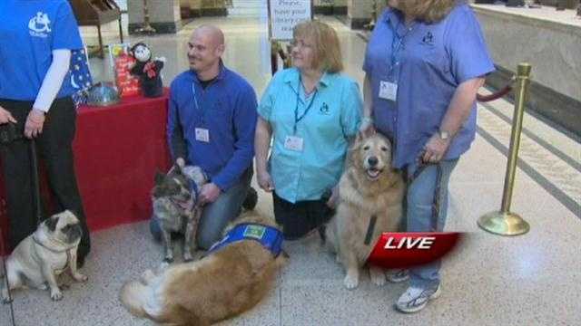 Ava talks learning, reading to pets at Enoch Pratt