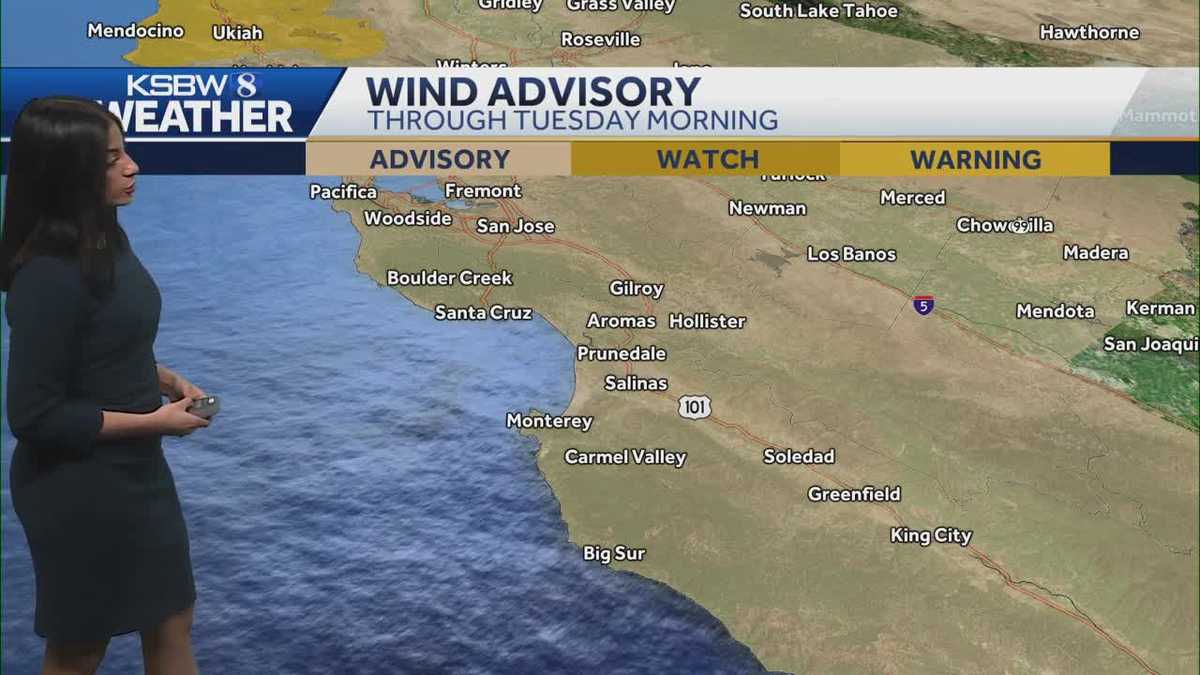 Heavy rain expected on Central Coast throughout Monday