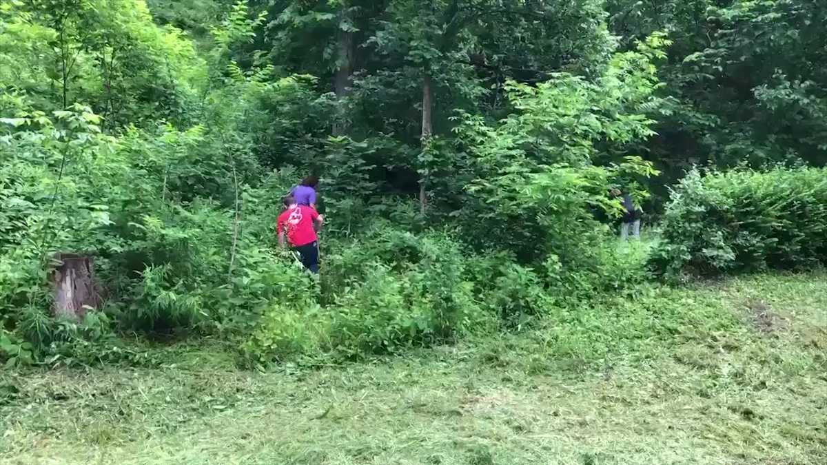 Morgantown police searching for 15-foot long python