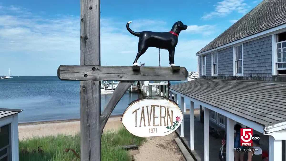The Black Dog: The story behind the Martha's Vineyard company