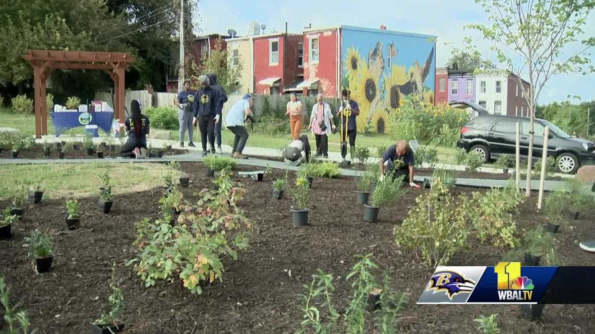 Ravens Honor Rows: ﻿Group works to better East Baltimore
