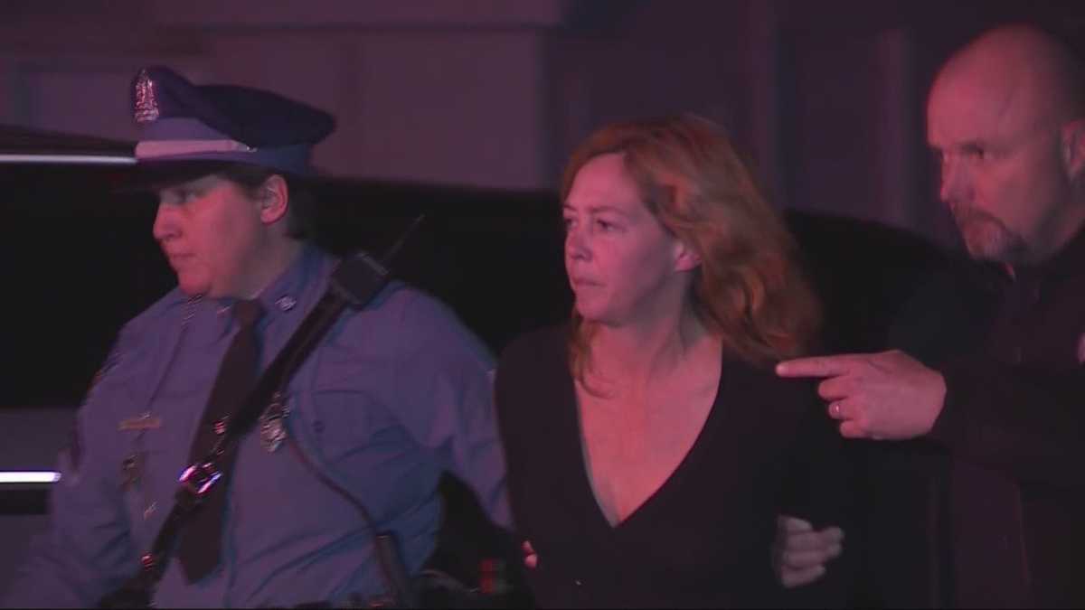 Woman accused of kidnapping children in court