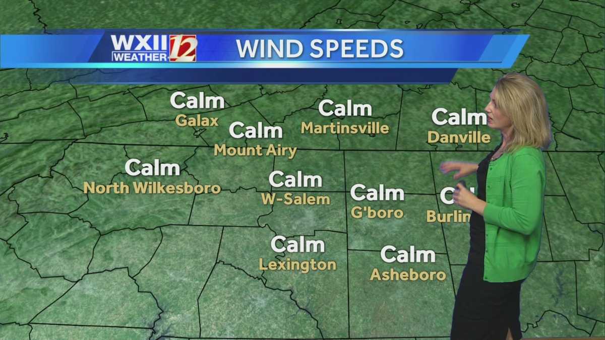 Michelle's misty, cool forecast