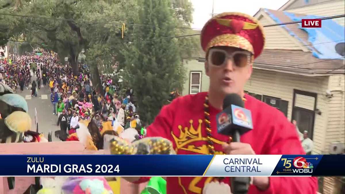 New Orleans crowds seen from top of Zulu float