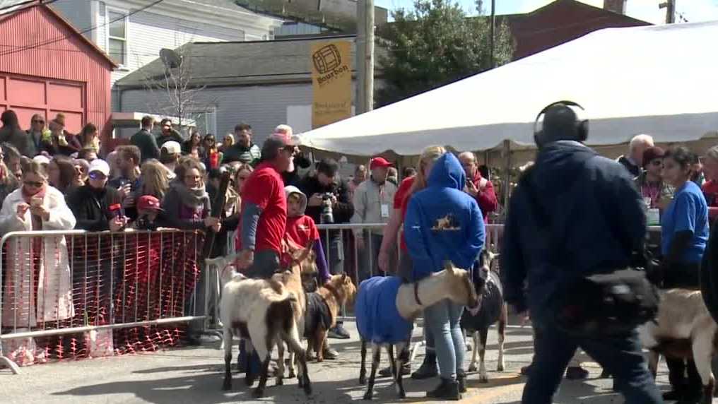 NuLu Bock Fest brings goat races, beer, sausage, music and more this ...