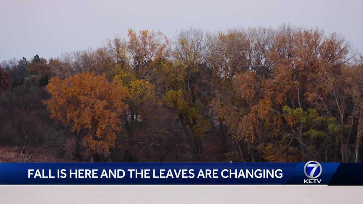 Great Outdoors: The fall season is bringing cooler temperatures and ...