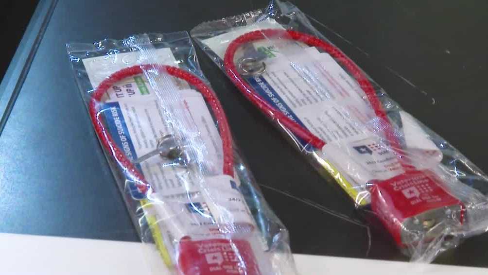 Gun safety: Free trigger locks available at Des Moines libraries