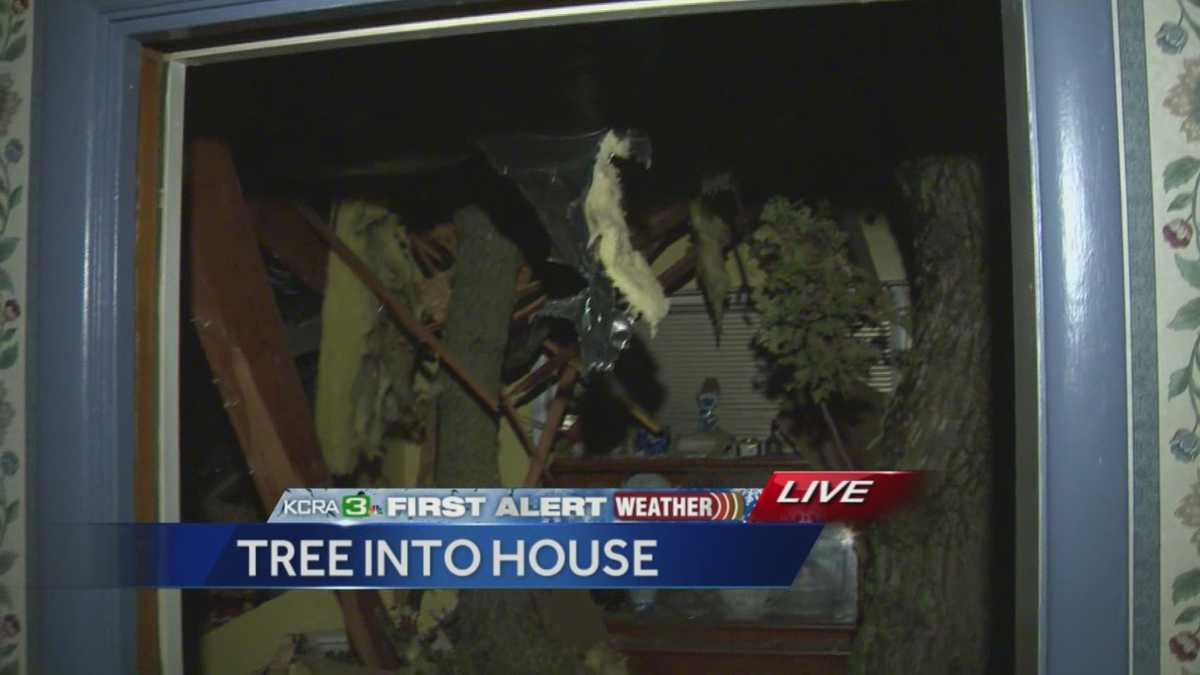 Tree falls into Stockton family's home: 'We were blessed'