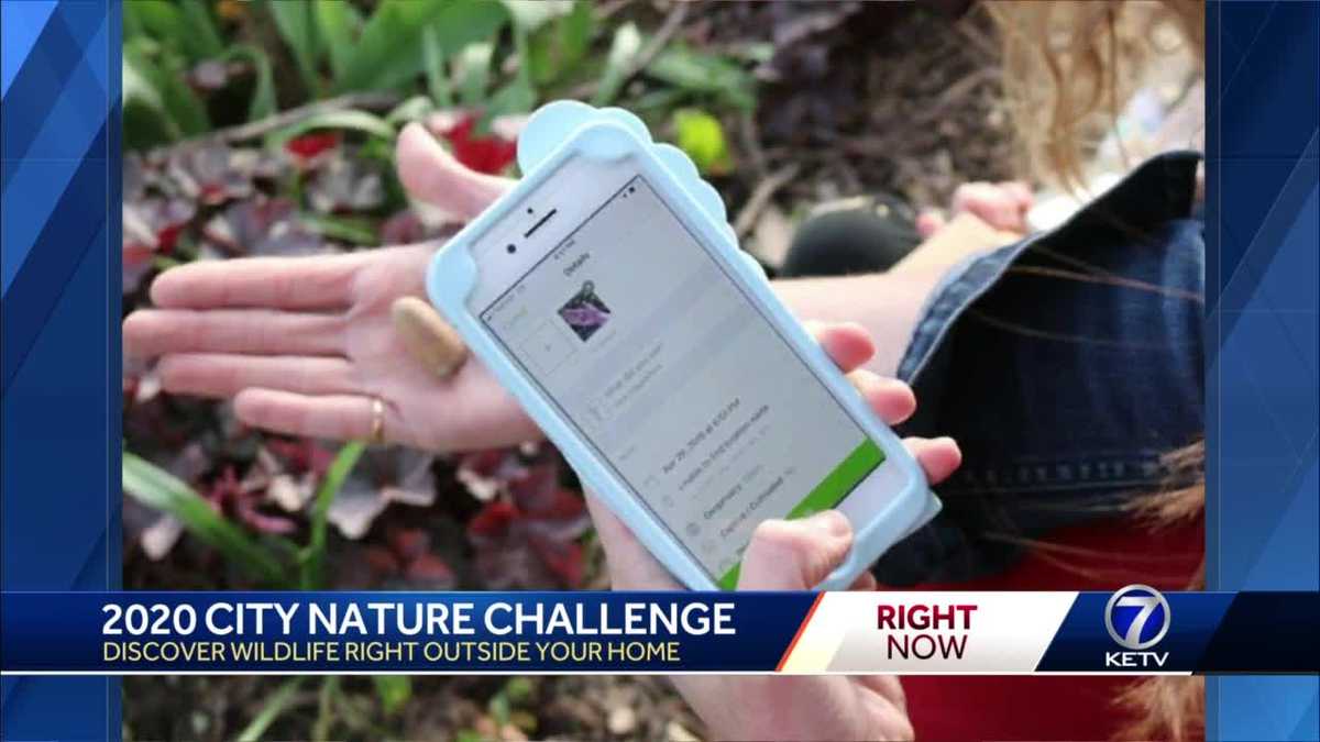 2020 City Nature Challenge: Explore city wildlife with your smartphone