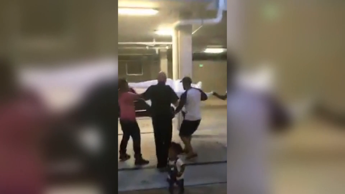 Onlookers nervously watch dog dangling from building, try to plan rescue