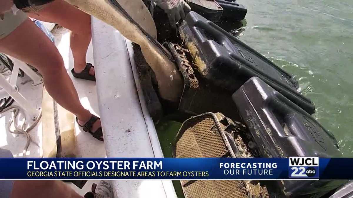 Georgia's first floating oyster farm in Savannah waters