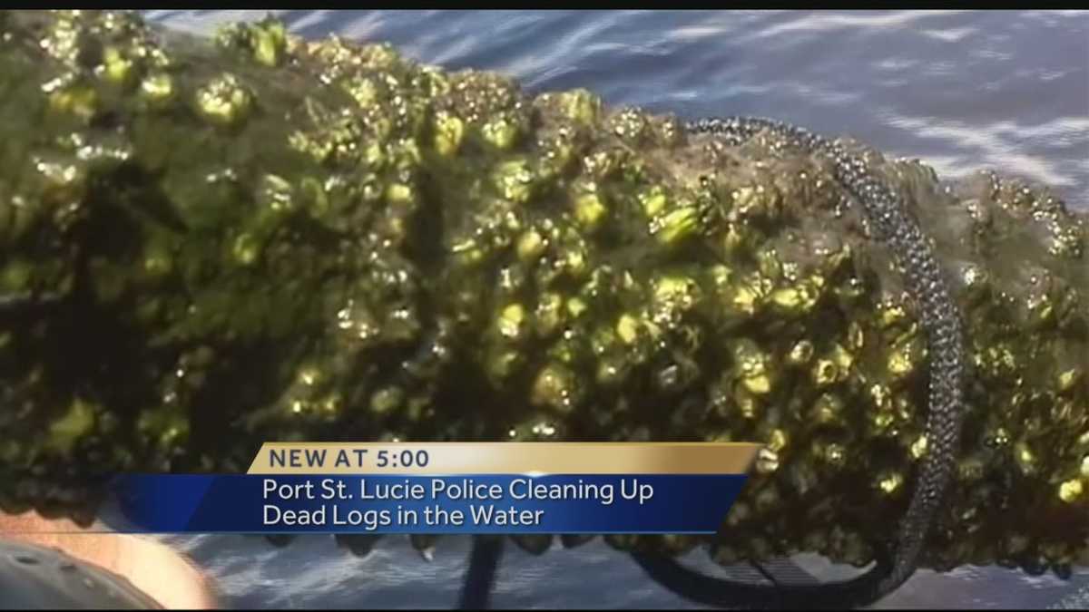 Police join state officials to remove underwater logs