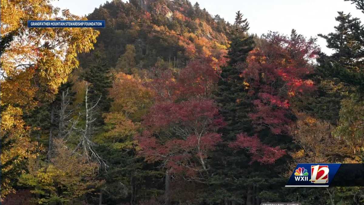Grandfather Mountain's Fall Color Ramble begins