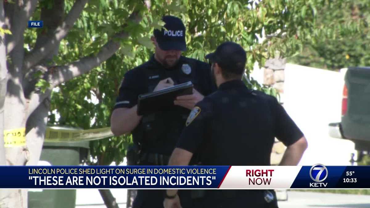 Lincoln police shed light on domestic violence trend