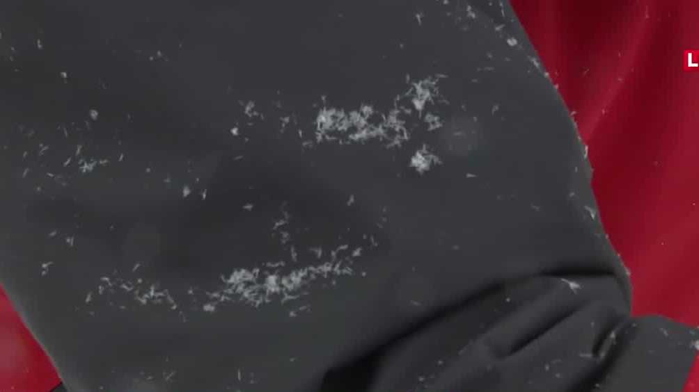 Ever hear of 'snow needles'? Here's what they are