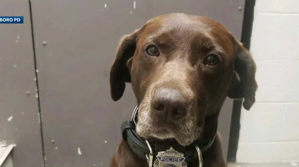 Wolfeboro, New Hampshire Police K-9 Riggs retires
