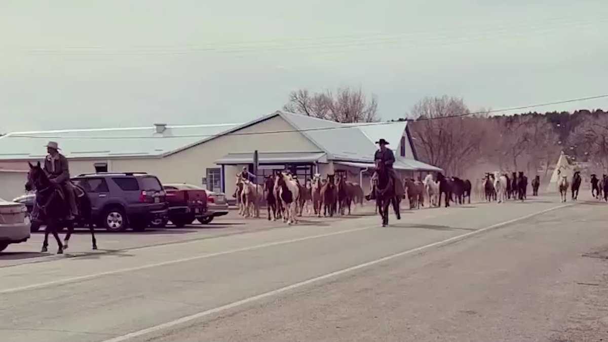 Wild, wild west in Cimarron