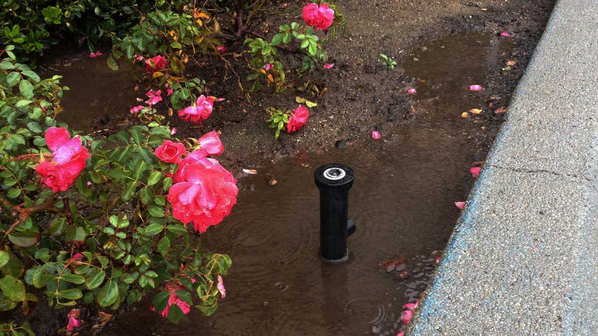 Get your Tuesday local storm forecast