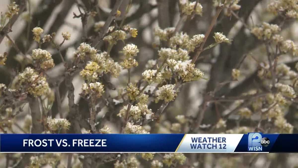 Spring freeze and frost still possible
