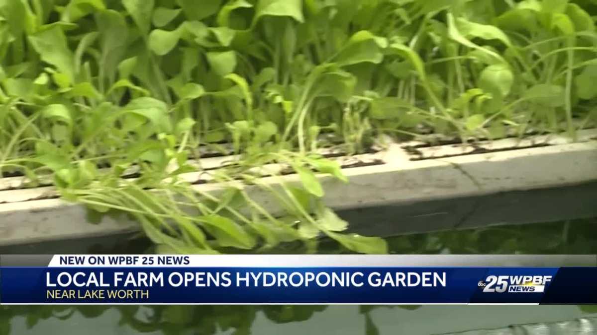 Local farm opens hydroponic garden