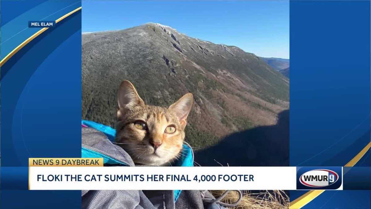 Cat reaches peak of all 48 4,000-foot mountains in NH