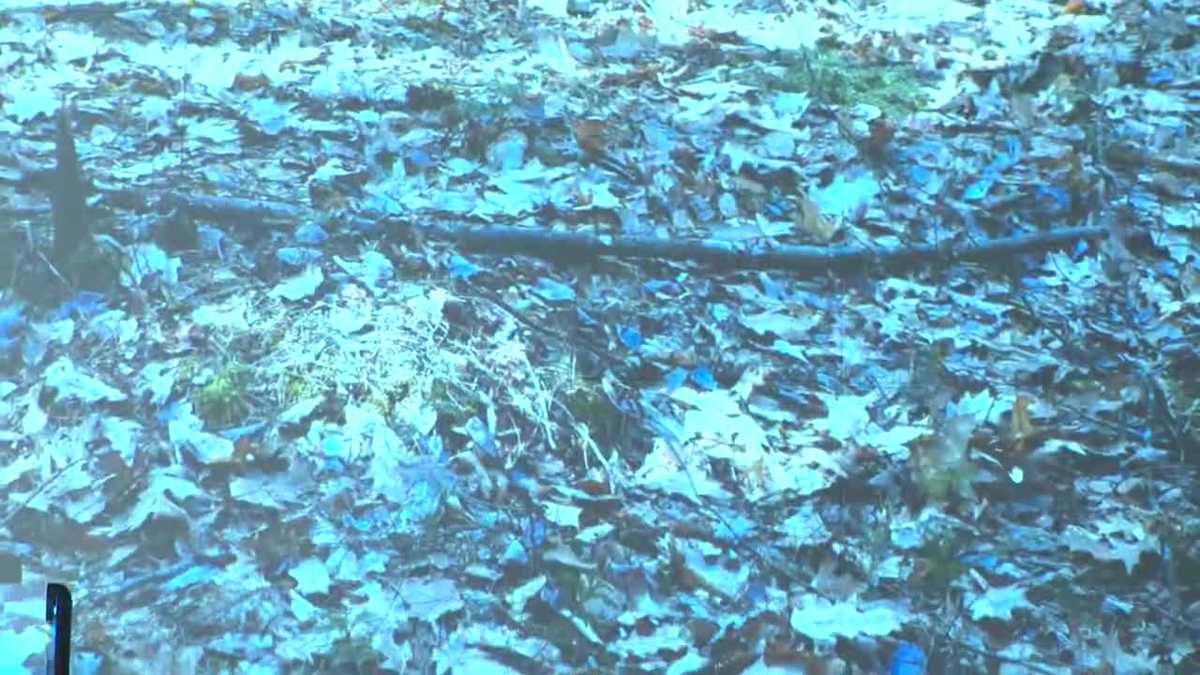 Logan Clegg trial video: Concord detective testifies (Part 2)