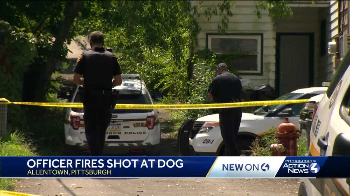 Pittsburgh police officer fires at dog during arrest