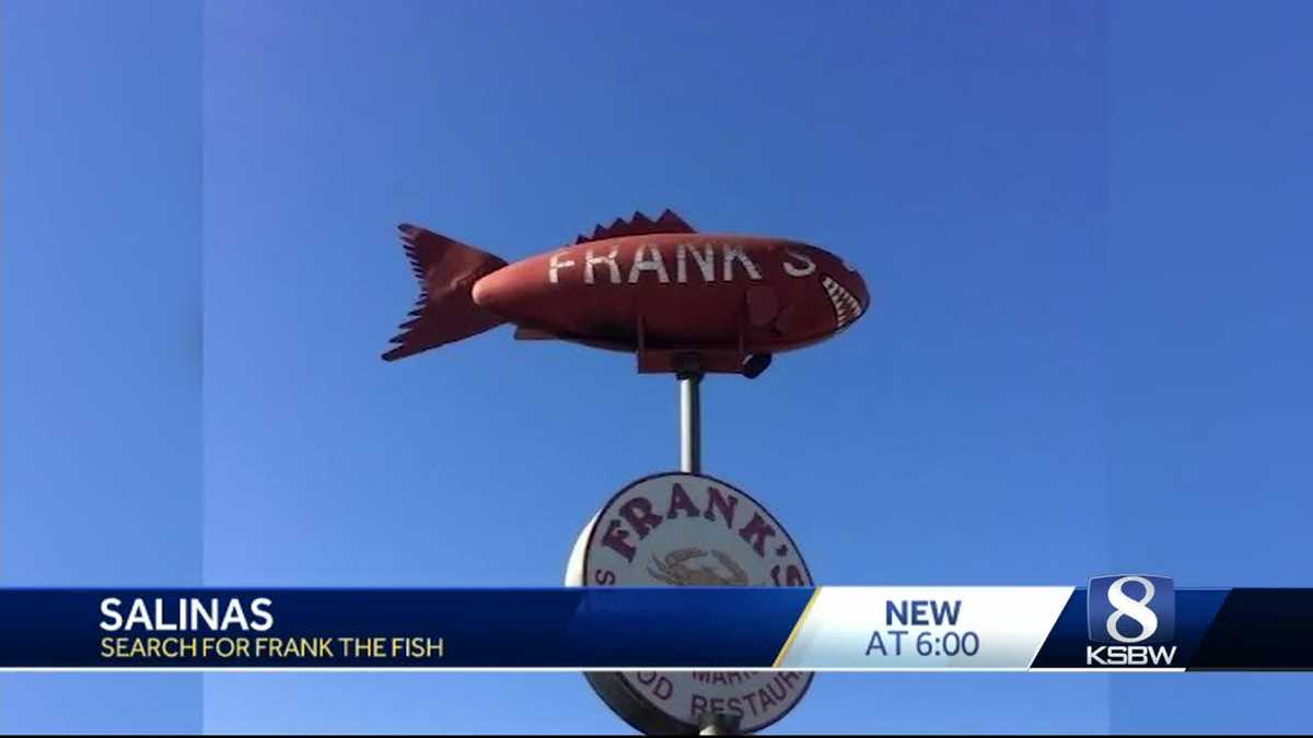 Where's Frank the Fish?