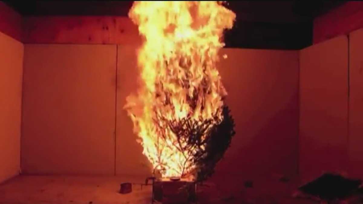 Experts demonstrate Christmas tree fire dangers