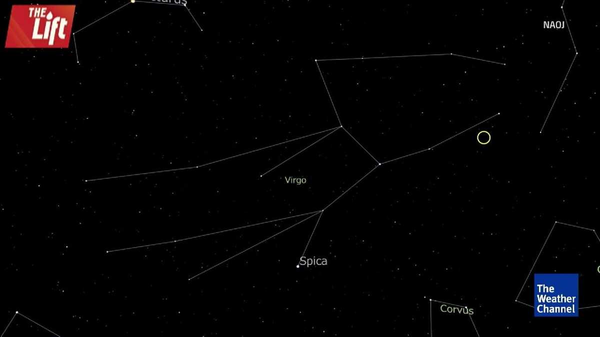 New Galaxy Discovery in our Galaxy Neighborhood