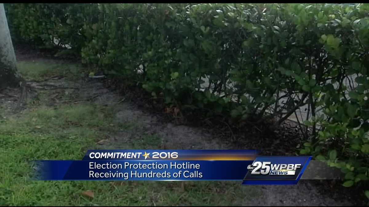 Election protection hotline receive hundreds of calls