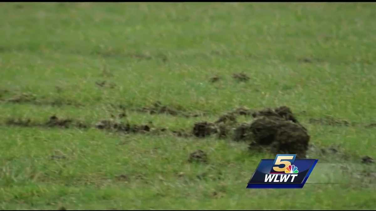 Baseball fields damaged at west side school