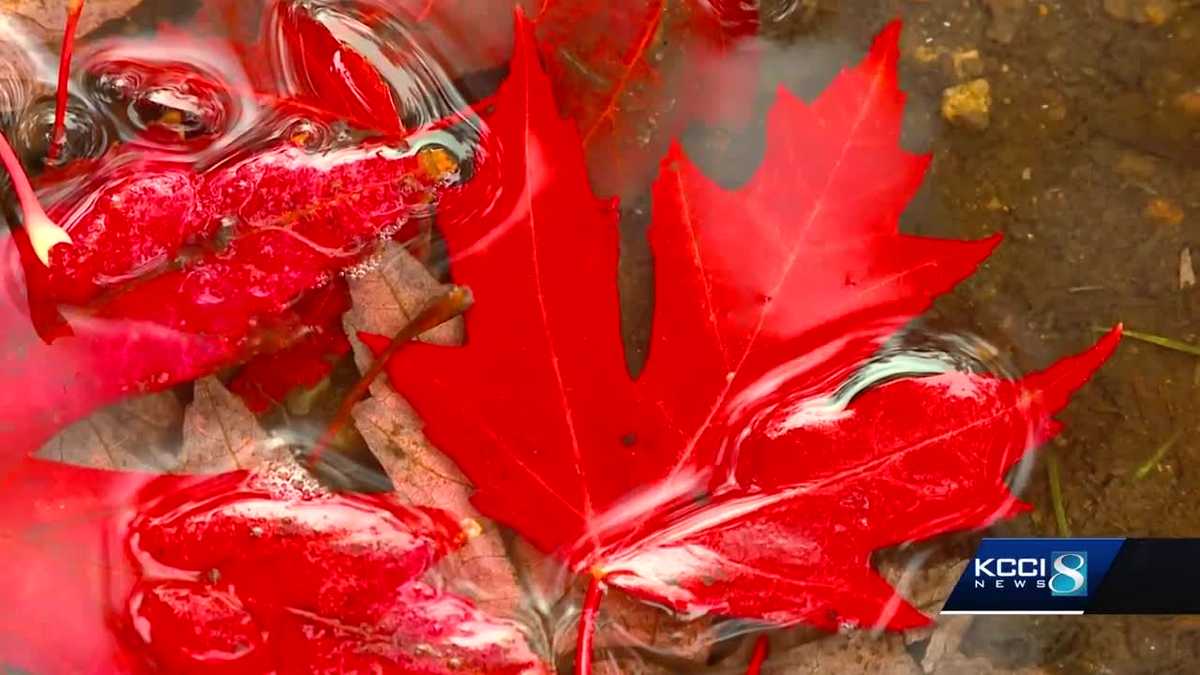 Fall foliage brings beauty to central Iowa