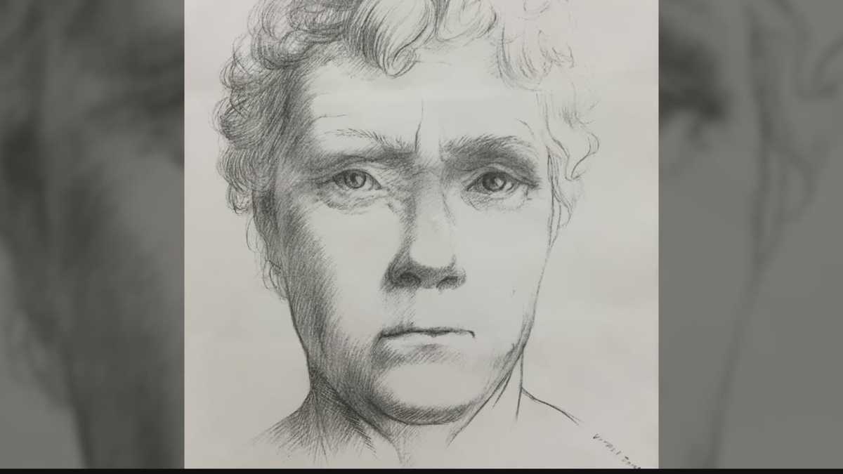 Woman's embalmed head found in Beaver County woods