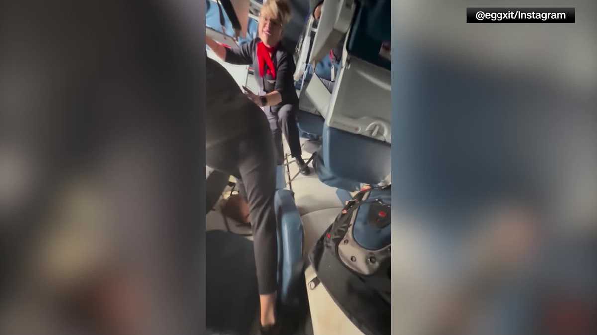 Delta Flight 4819 crash: Attendants hailed as heroes