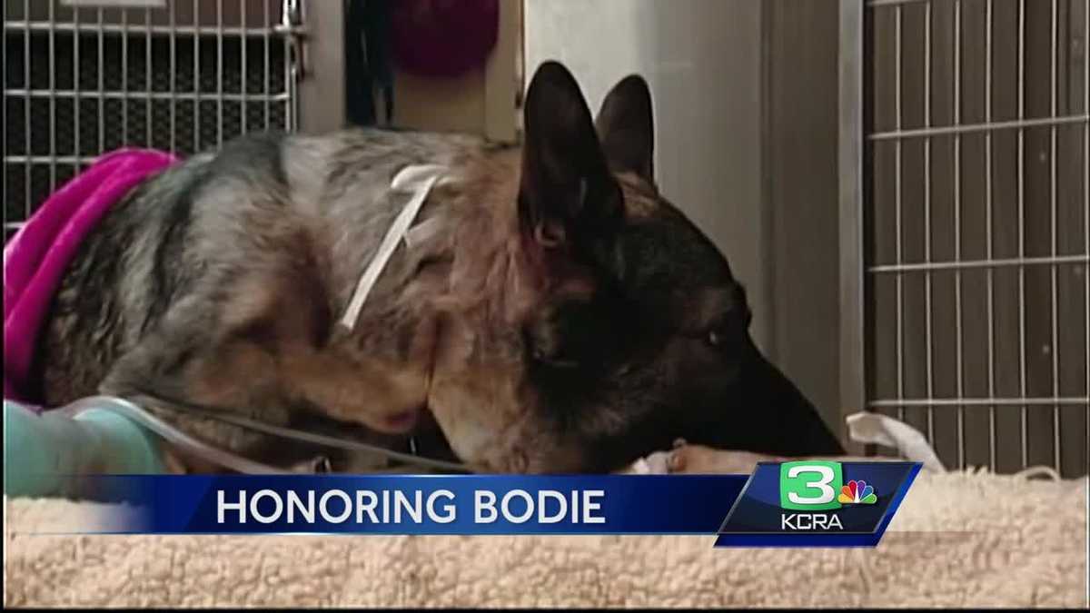 Community gives final farewell to beloved Sac PD K9 officer