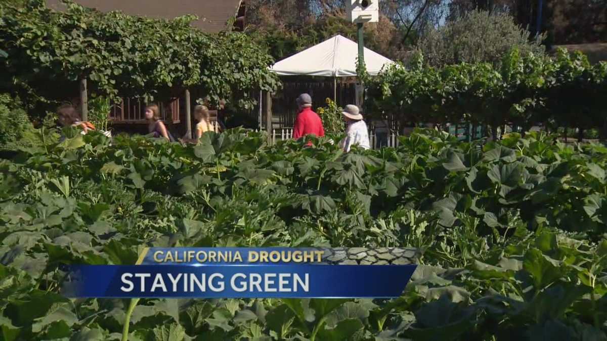 New exhibit at State Fair promotes drought-friendly plants