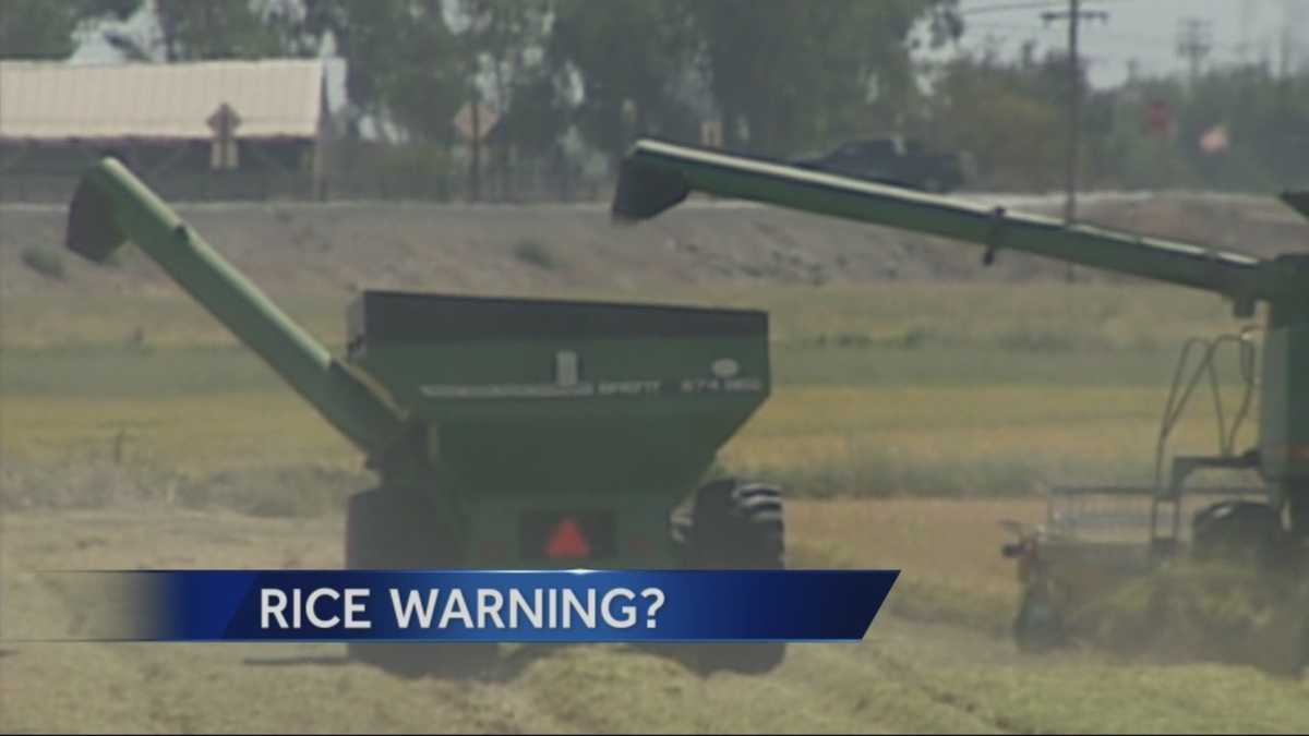 Is there arsenic in rice? Discussing a new consumer warning