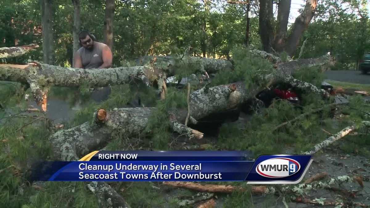 Powerful storms knock down trees along Seacoast