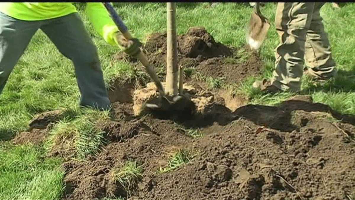 Omaha plants trees for Arbor Day