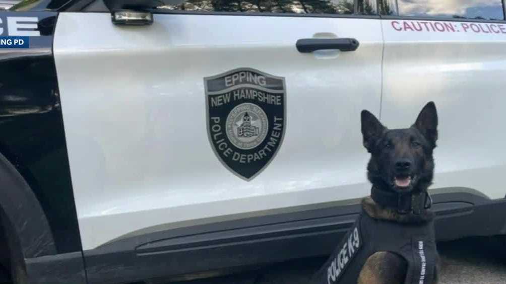 Epping police K-9 returns to duty after medical emergency