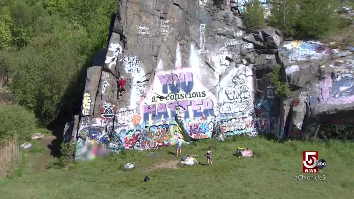 Dirt leftover from the Big Dig transformed the Quincy Quarries and ...