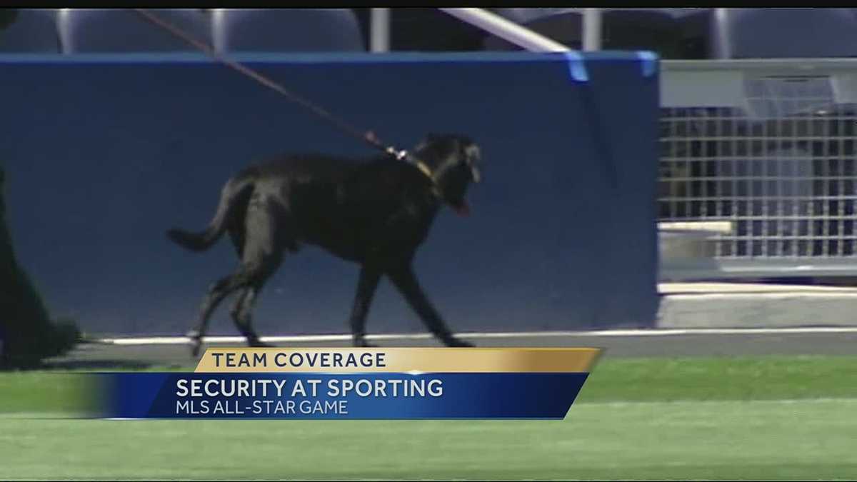 MLS All-Star security tight, mostly invisible