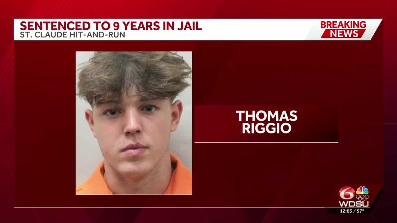 Thomas Riggio sentenced to 9 years in jail for deadly hit-and-run crash ...