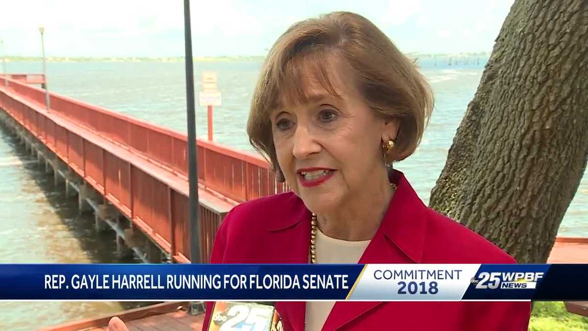 Rep. Gayle Harrell running for Florida senate