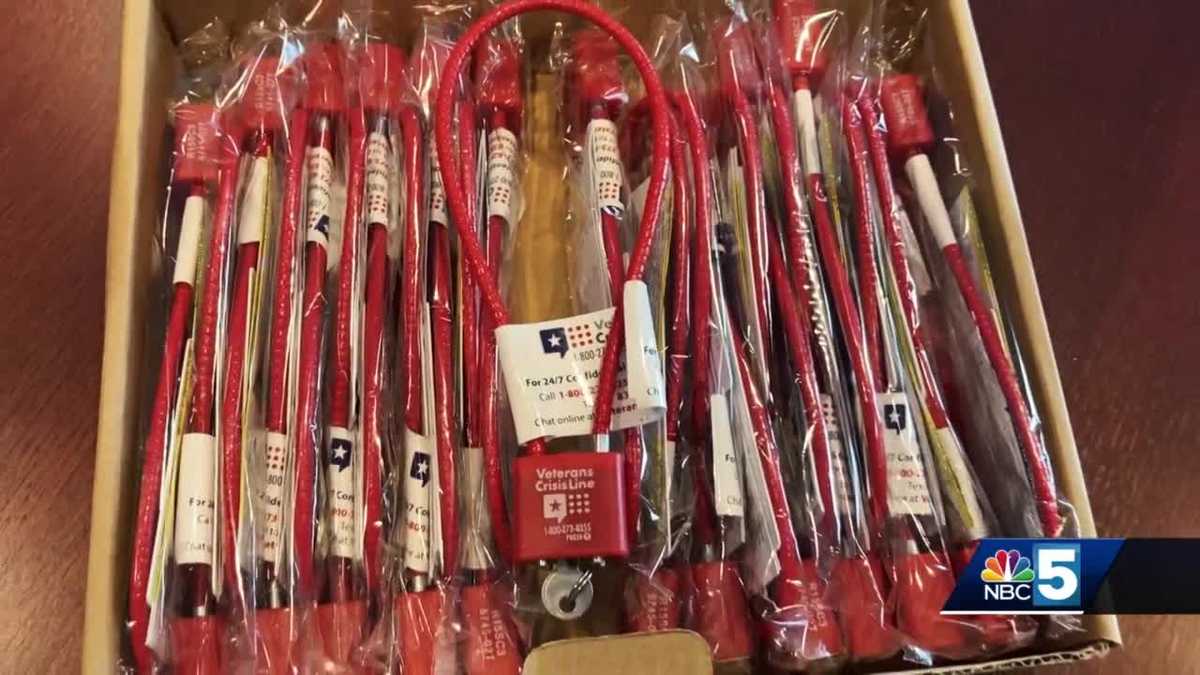 State leaders announce safe gun storage initiatives